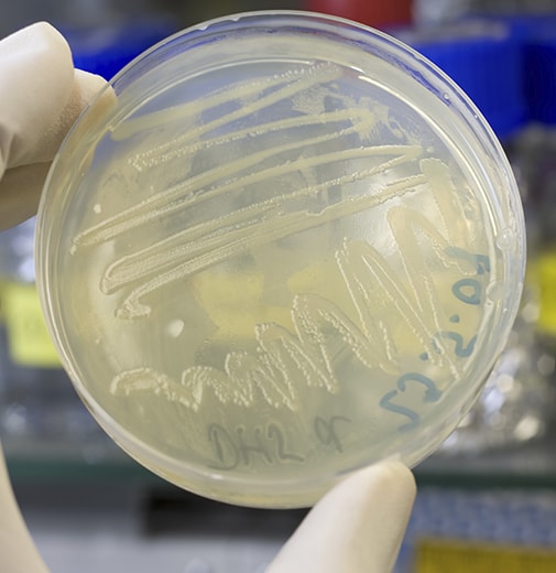 Microbiological Environmental Monitoring Services | TSS Microbiological Environmental Monitoring Services | TSS